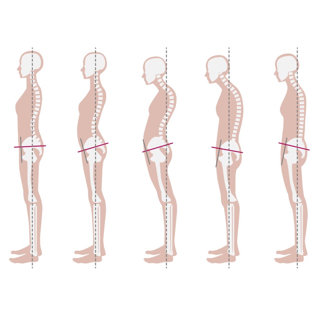 Molars to Muscles: How our Dental Health Supports Our Physical Wellness ...